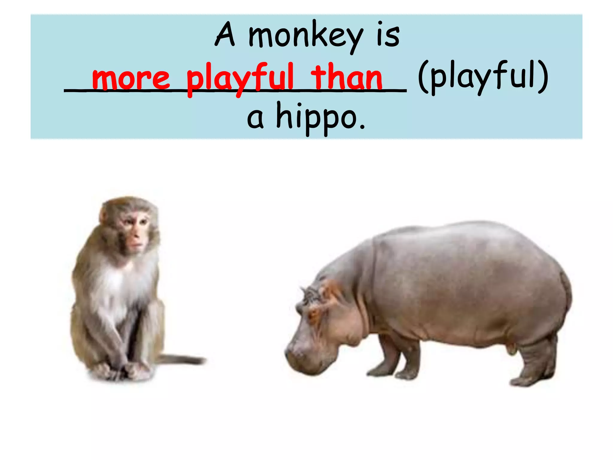Comparing animals | PPTX