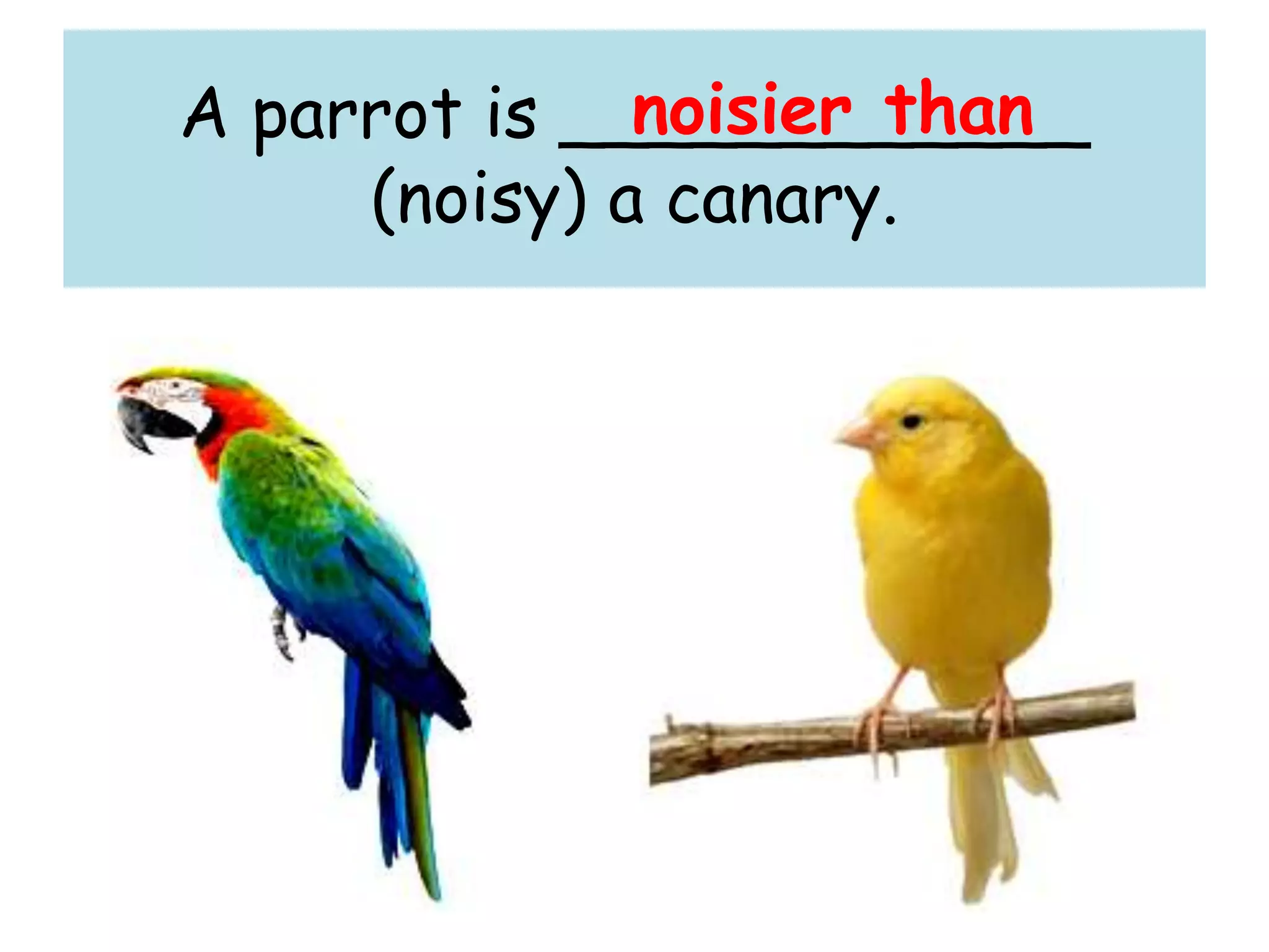 Comparing animals | PPTX