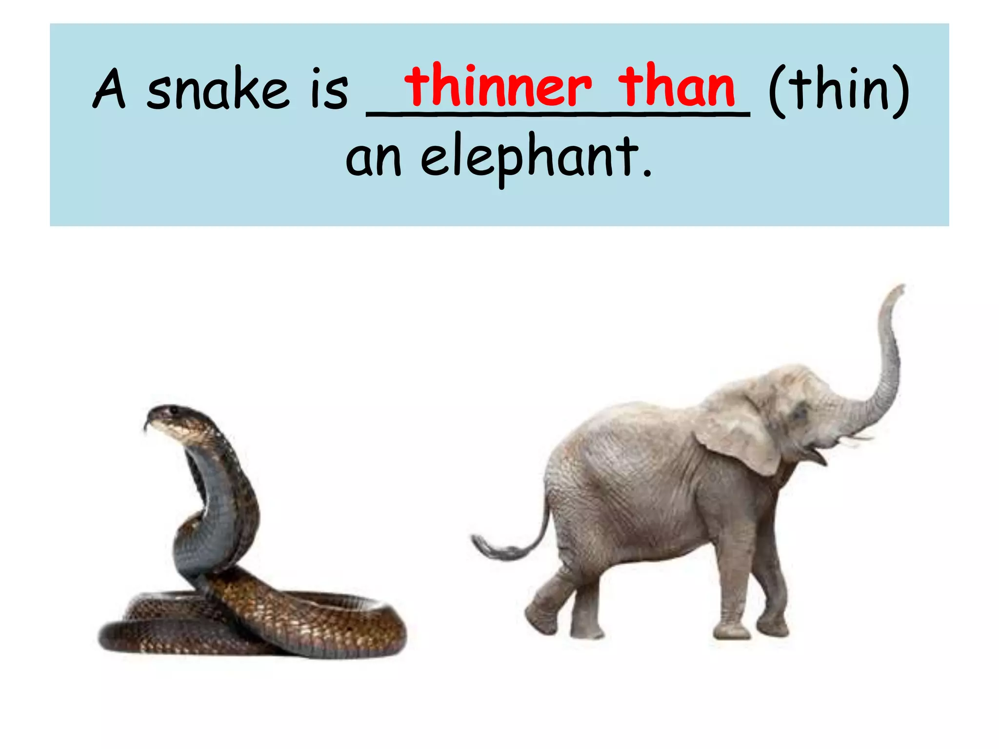 Comparing animals | PPTX