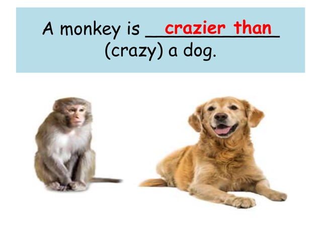 Comparing animals | PPTX | Large Animals | Pets