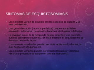 Esquistosomiasis Ppt 5310