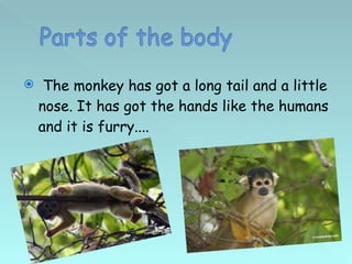 Paula , nada and ahlam | PPT