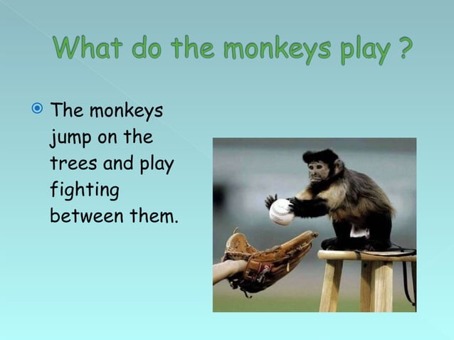 Paula , nada and ahlam | PPT