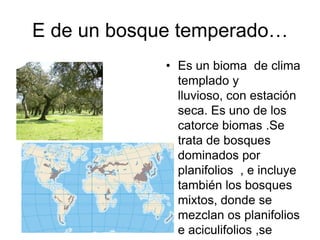 Tipos de bosques | PPTX