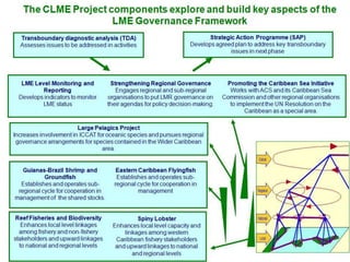 Overview of UNDP/UNESCO-IOC GEF CLME Project | PDF
