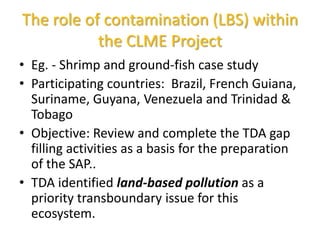 Overview of UNDP/UNESCO-IOC GEF CLME Project | PDF