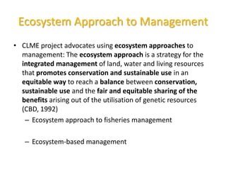 Overview of UNDP/UNESCO-IOC GEF CLME Project | PDF