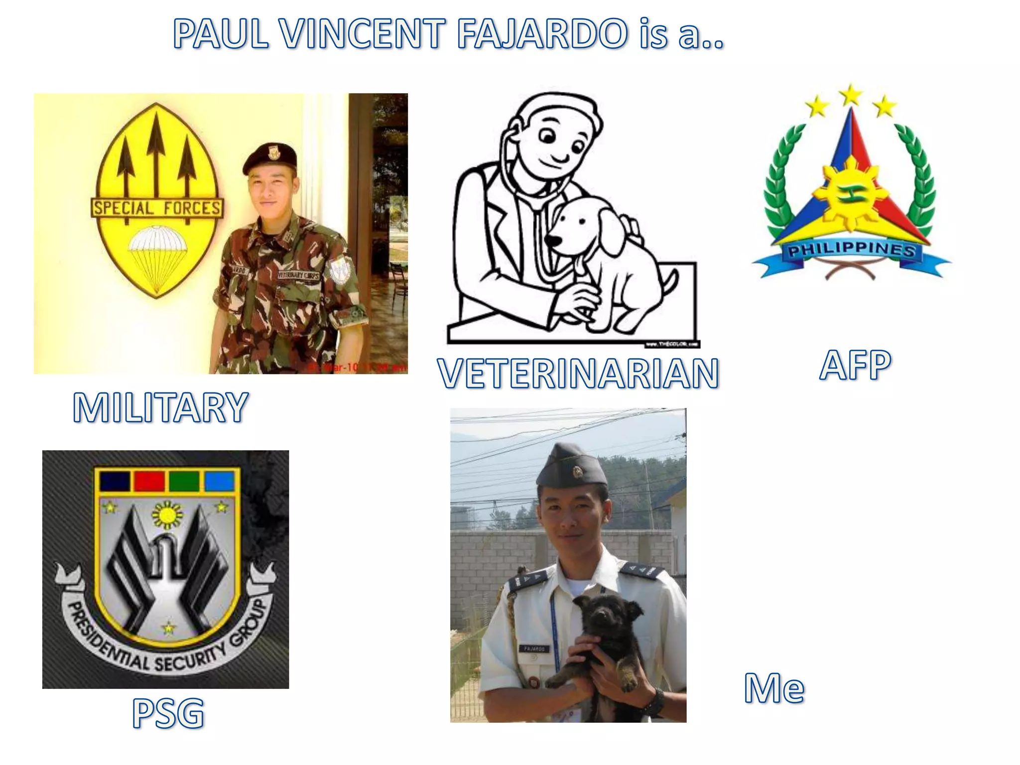 Paul Vincent D Fajardo | PPTX