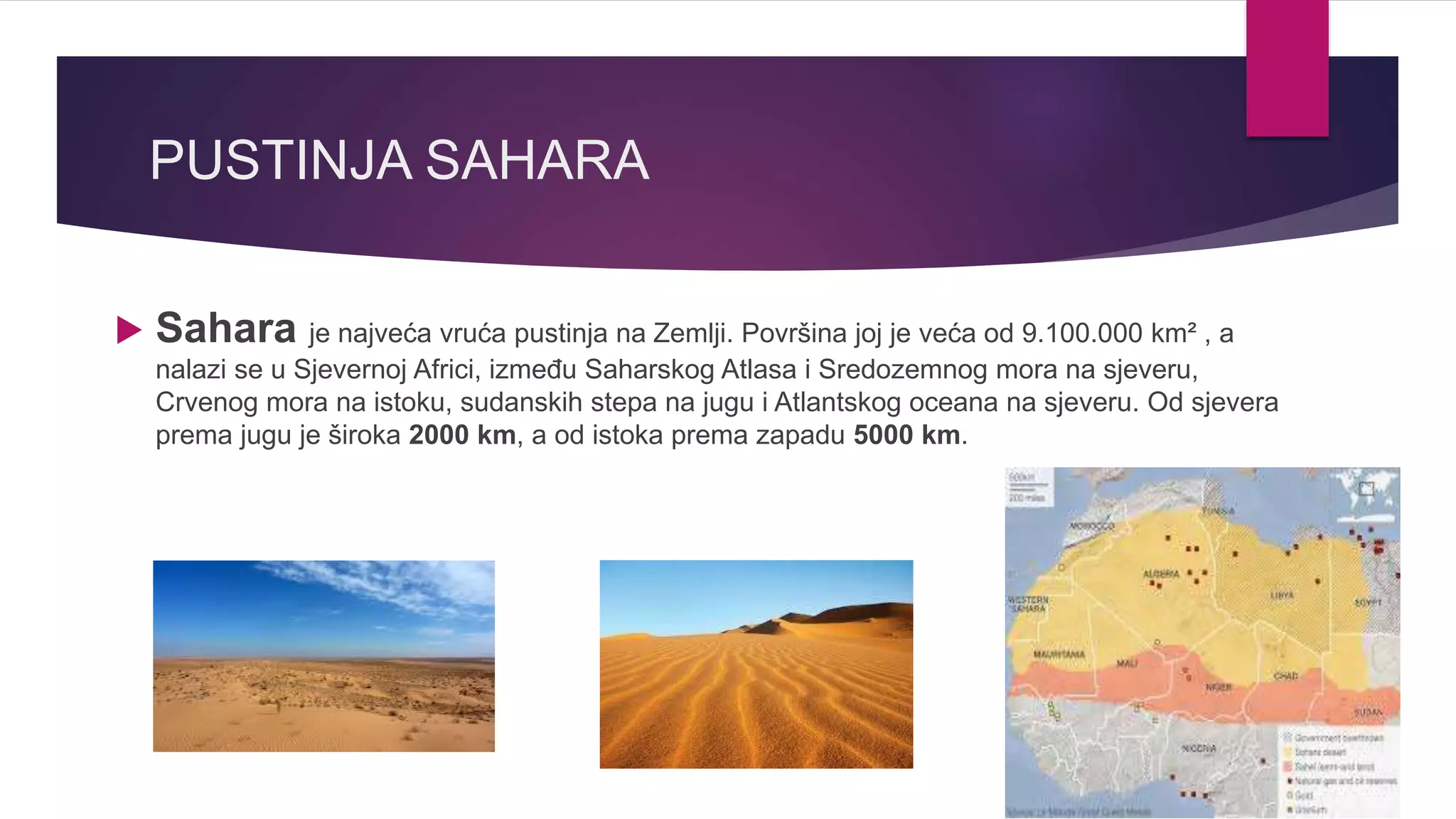 Paulina Tatai, 6.r - Pustinje Afrike | PPTX