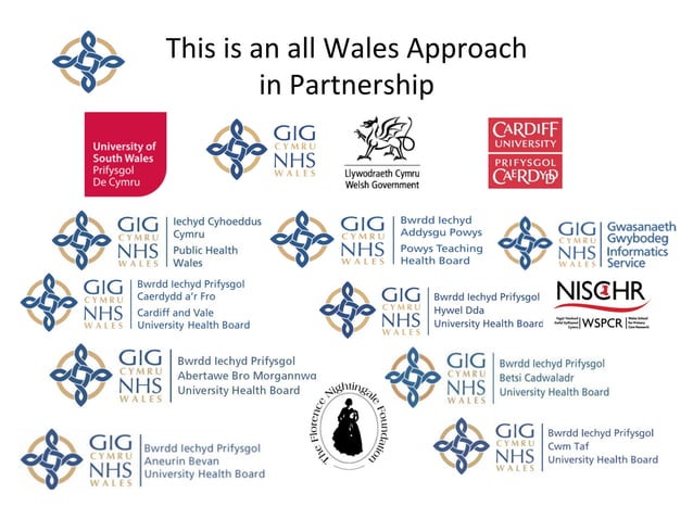 Paul Labourne - District nursing workload & calculation tool | PPT