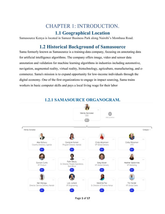 Computer science/ IT Fianl attachment report | PDF