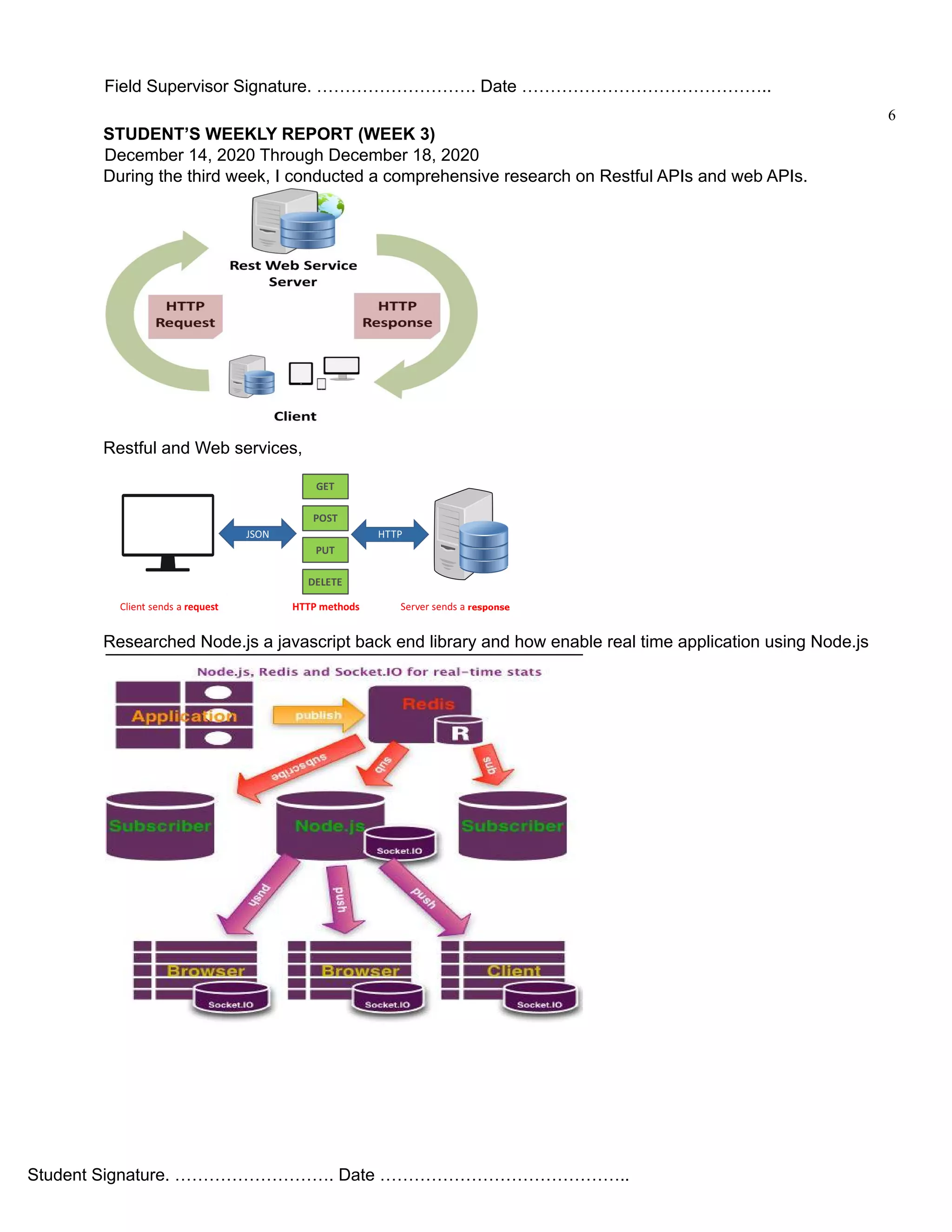 Computer Science Student Final attachment Logbook | PDF