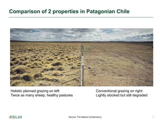 Restoring grasslands in Patagonia | PPT