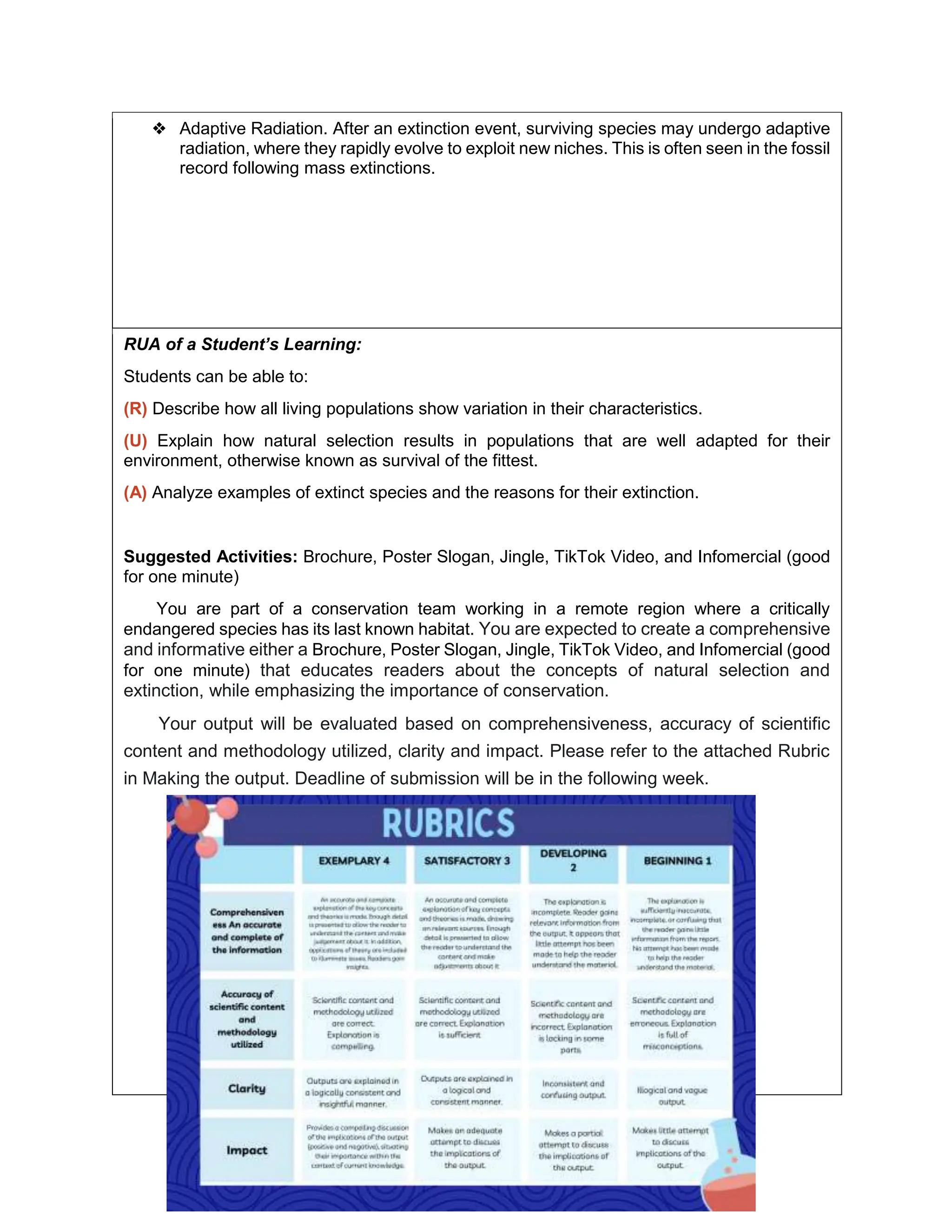 adaptive teaching guideline.........docx