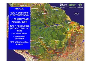 Targets, carbon stocks and deforestation reduction: Proposed benefit ...