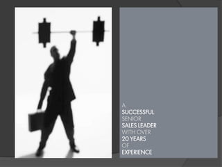 Visual Resume of Paul Ringuette | PDF | Sales | Business