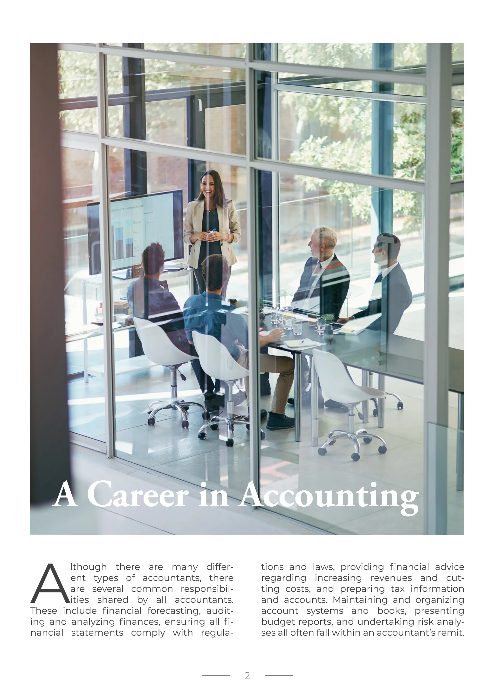 Paul Simonson: Guide for a Career in Accounting | PDF | Business ...