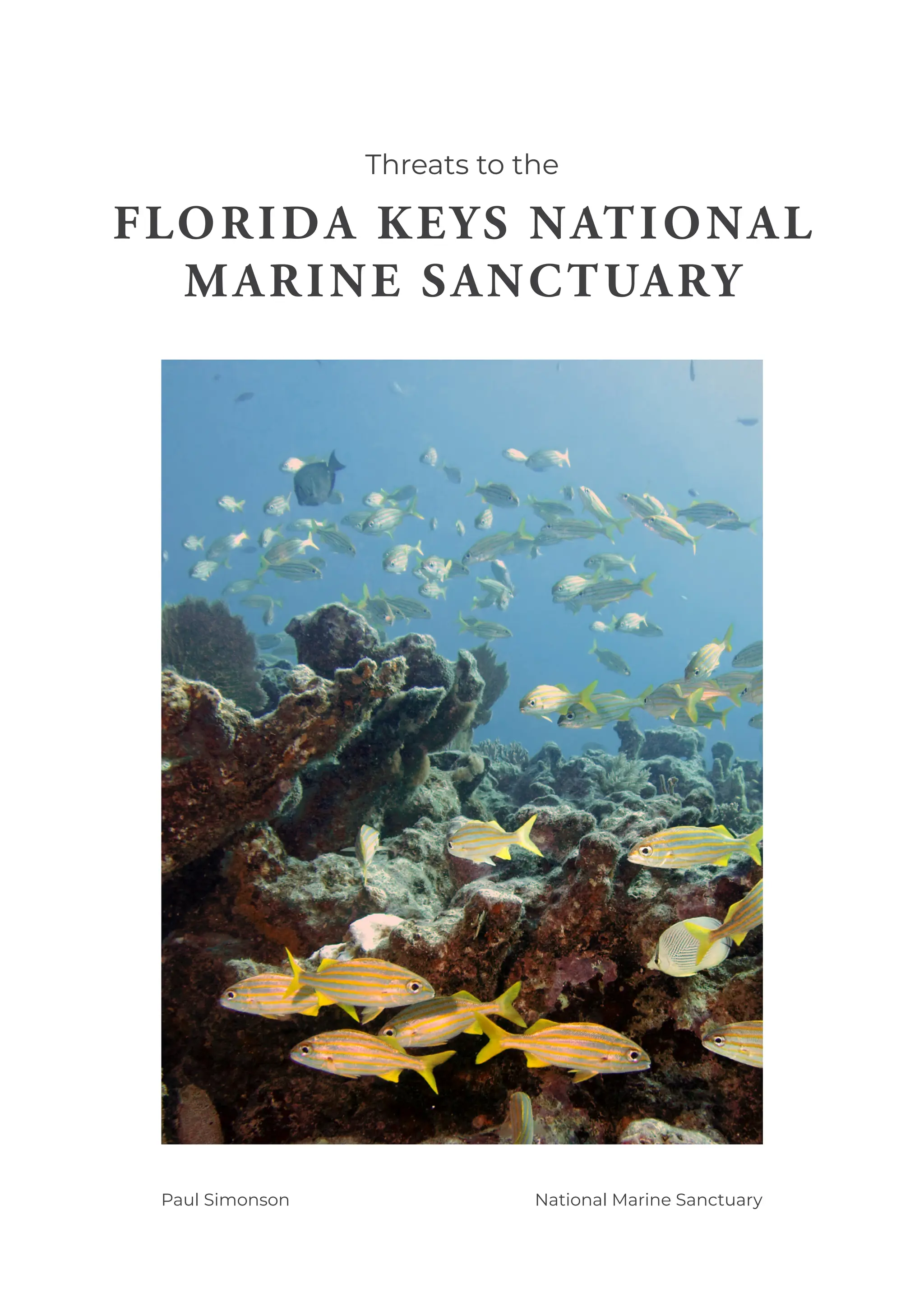 Threats to the Florida Keys National Marine Sanctuary | PDF