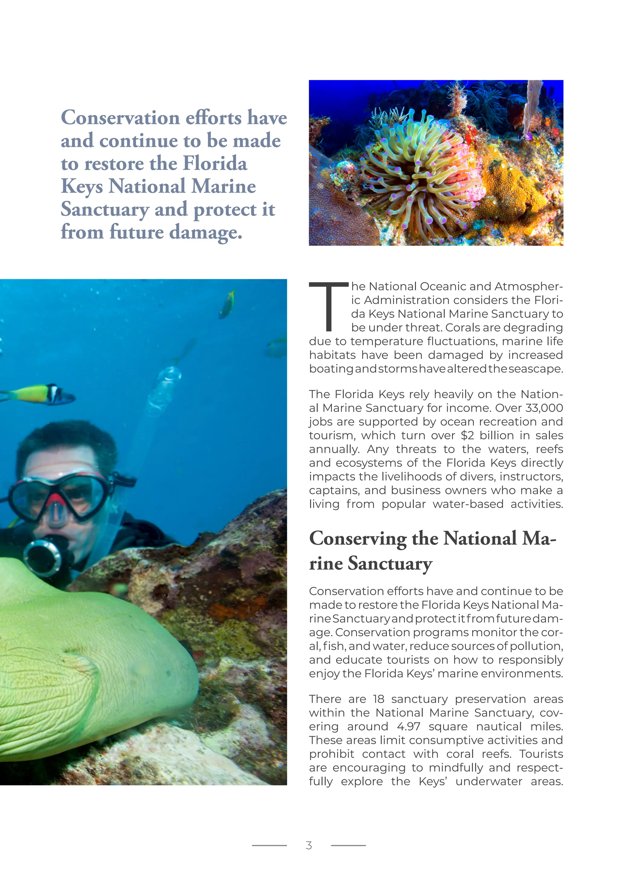 Threats to the Florida Keys National Marine Sanctuary | PDF