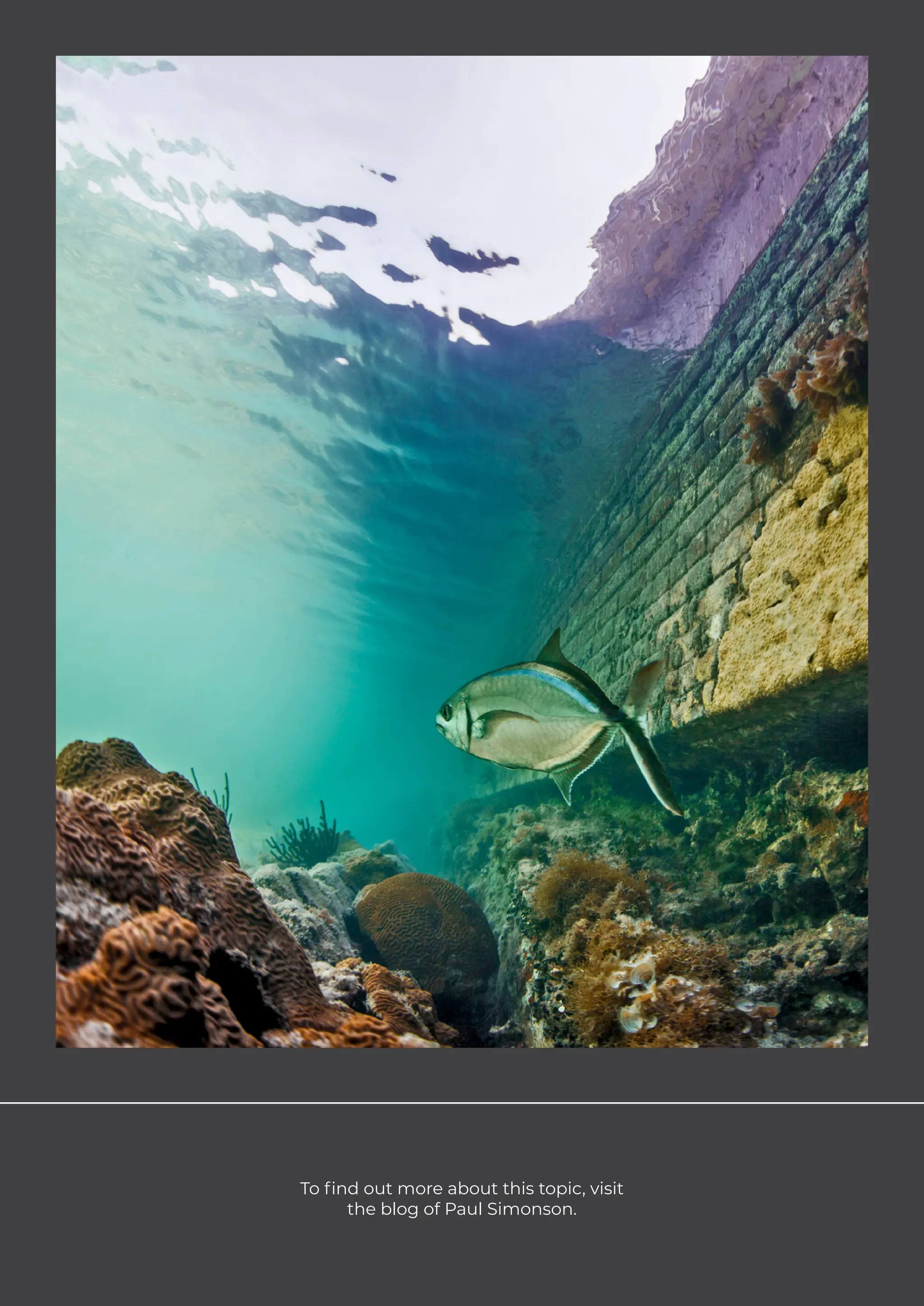 Threats to the Florida Keys National Marine Sanctuary | PDF