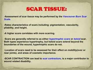 Pauls Power Point | PPT