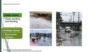 Paul Truong Generation of Biofuel and Biochar From Spent Biomass.pptx