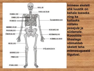 Pauluse kiri efeslastele 6 | PPT