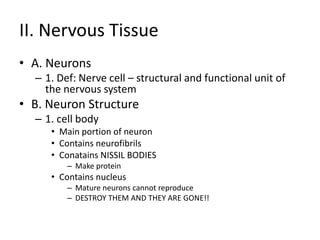 P&a unit 4 nervous system | PPT