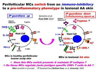 Revisiting the Role of Immune Privilege in Alopecia Areata Pathobiology ...