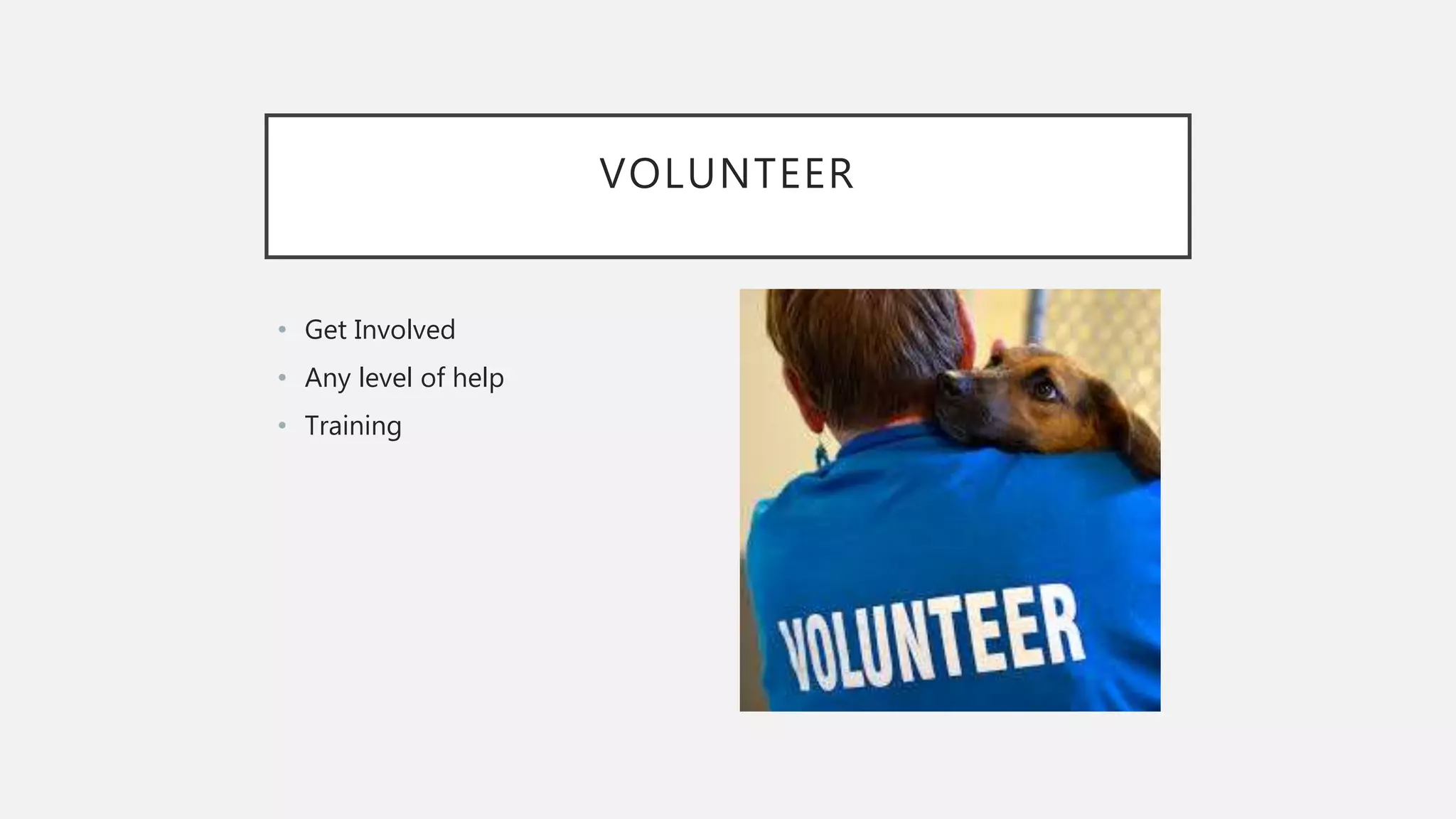 Pause for paws powerpoint | PPT