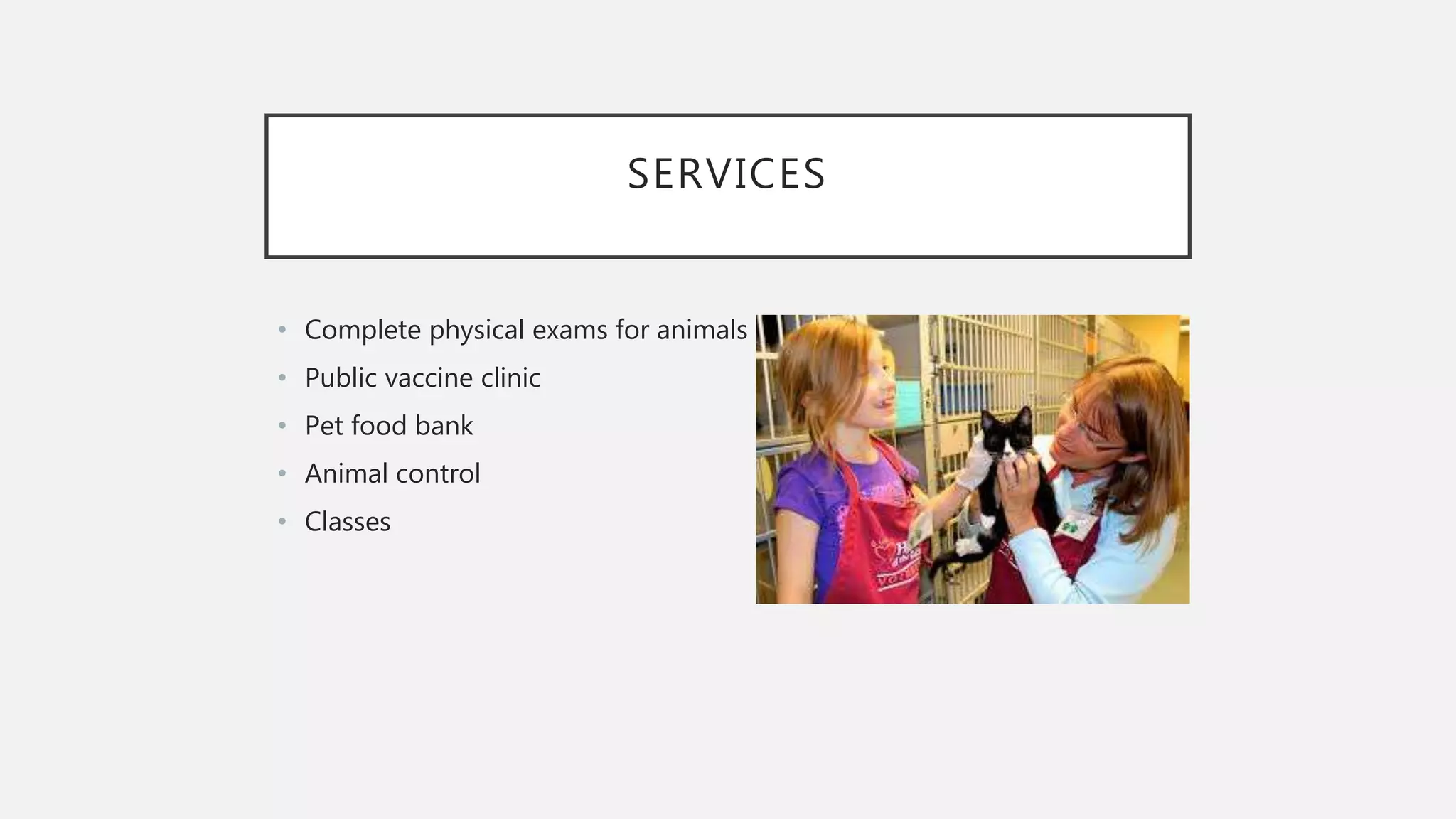 Pause for paws powerpoint | PPT