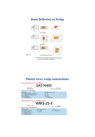 Paut full notes | PDF