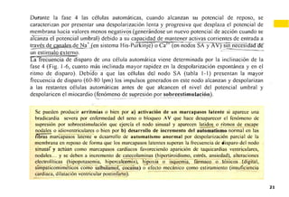 Pautas de ECG - Vélez - 2ª Edición.pdf