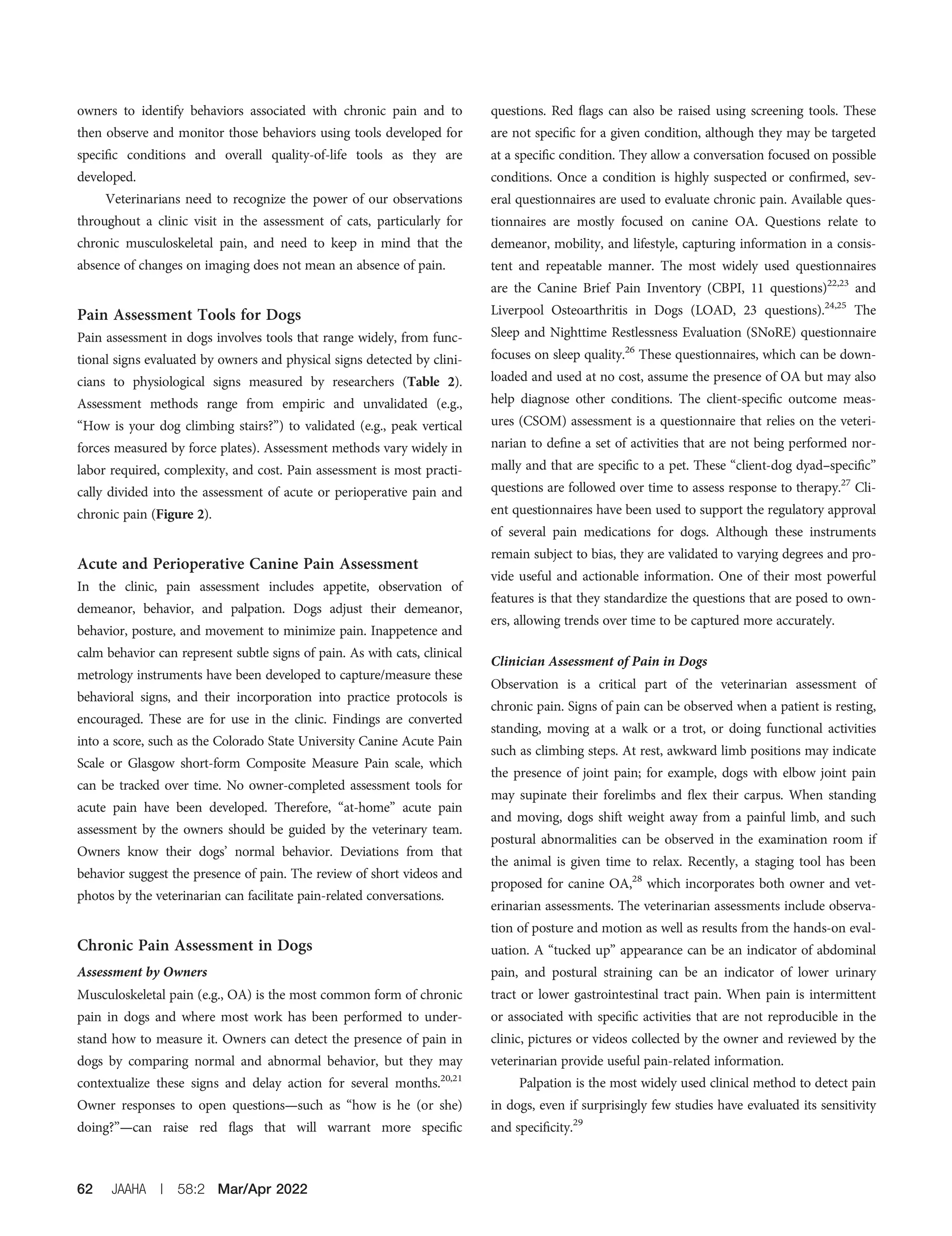 Pautas para el manejo del dolor en perros.pdf