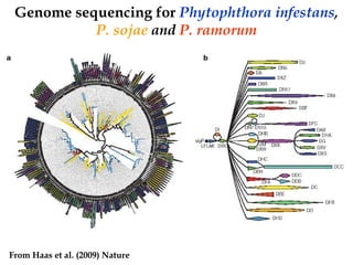 An overview of plant epidemiology | PDF