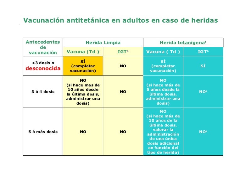 Pautas de vacunación de difteria y tétanos en adultos