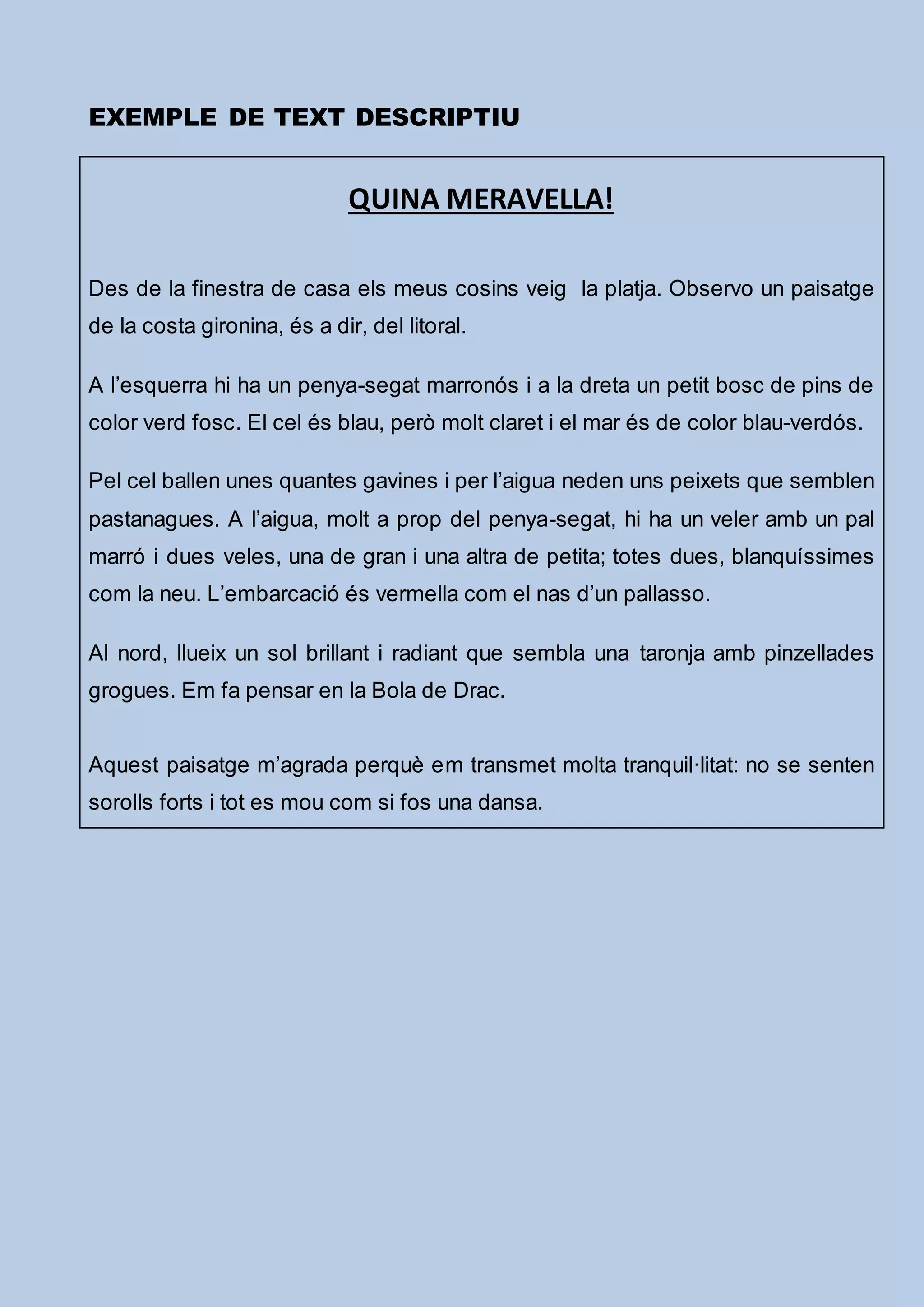 Pautes text descriptiu | PDF