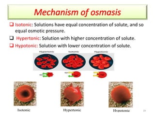 Colligative properties | PPTX