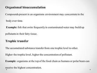 Bioaccumulation and biotransformation | PDF