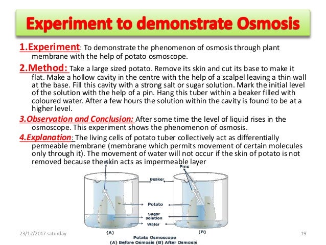 measurements-of-physiological-applications-of-osmosis