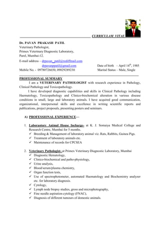 Pavan Patil Cv | PDF