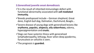 pododemodicosis veterinary general medicine | PPTX