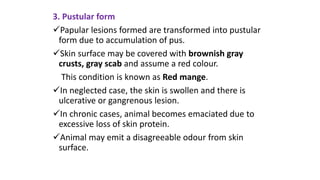pododemodicosis veterinary general medicine | PPTX