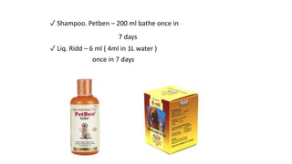 pododemodicosis veterinary general medicine | PPTX