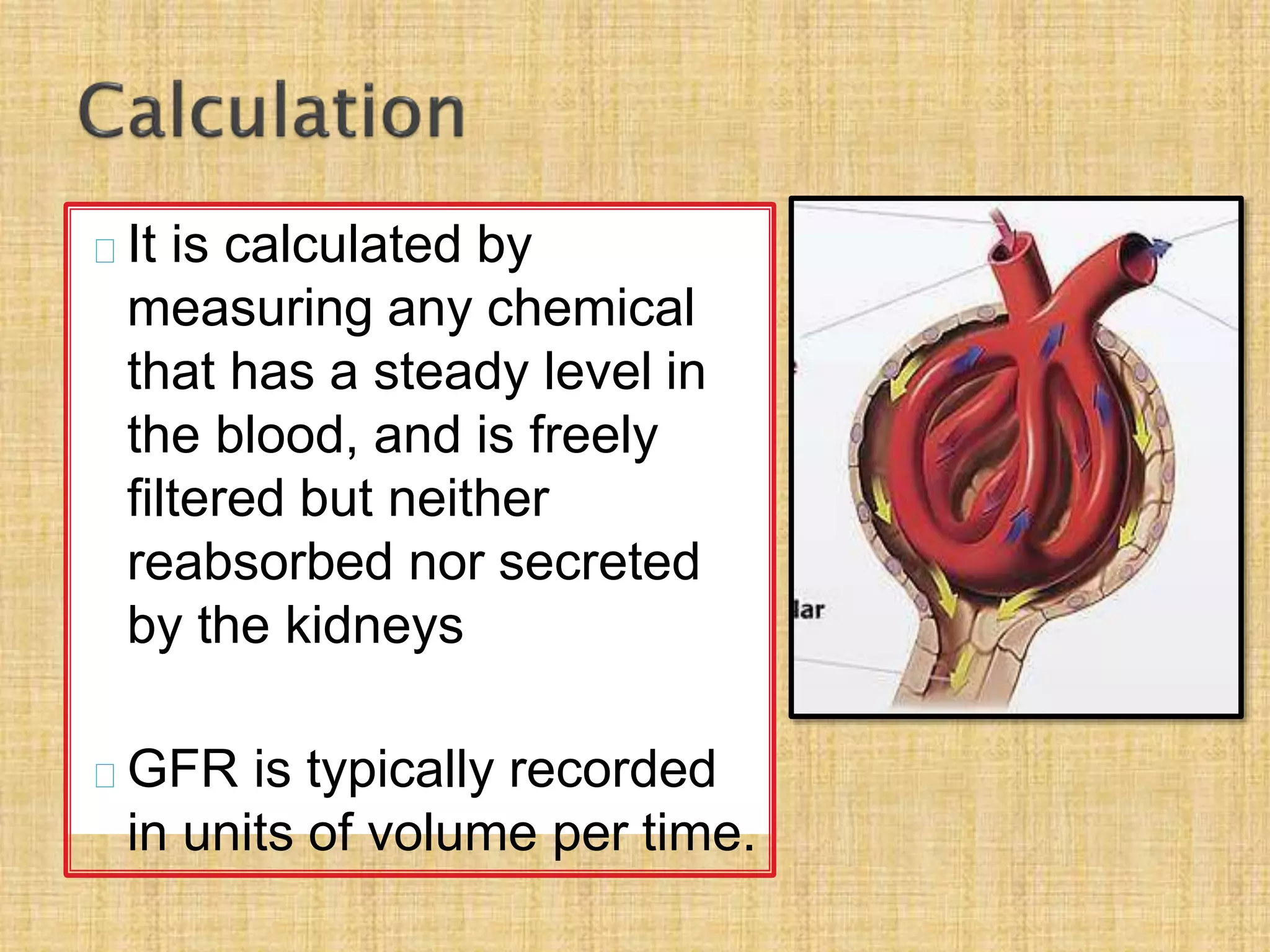 Mesurement of GFR and creatinine clearence | PPTX