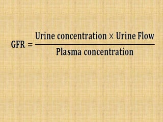 Mesurement of GFR and creatinine clearence | PPTX | Blood Disorders ...