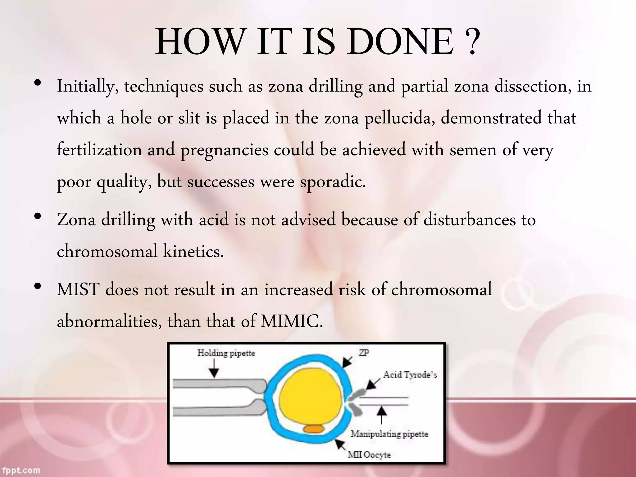 Pavithra- Animal Biotechnology | PPTX