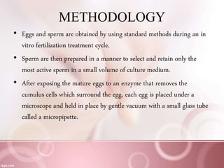 Pavithra- Animal Biotechnology | PPT