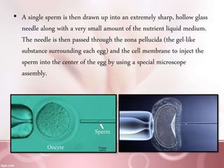 Pavithra- Animal Biotechnology | PPT