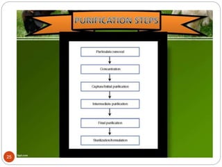 Pavithra- ABT therapeuic proteins | PPTX